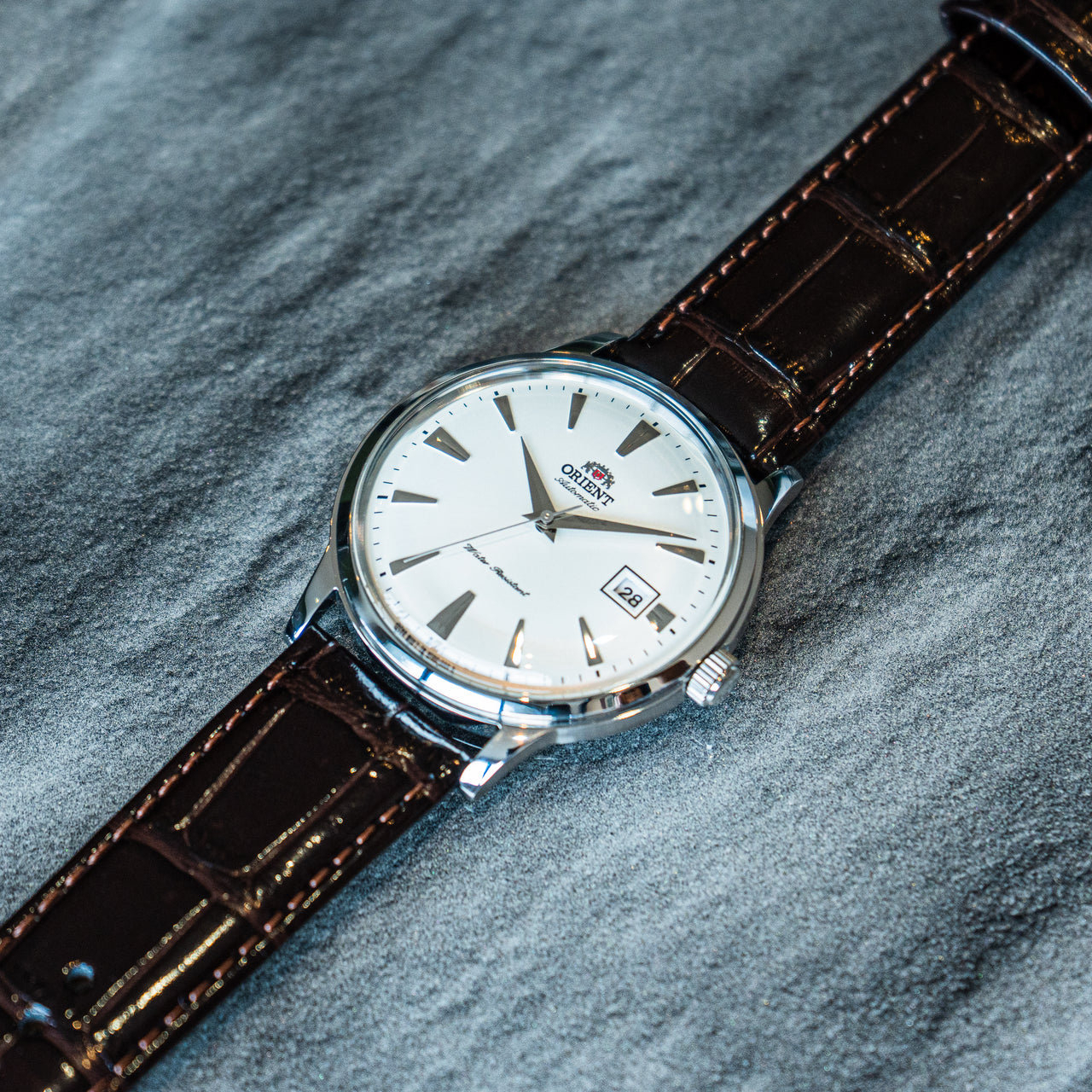 Which watch to start your collection with? – Tempus Shop